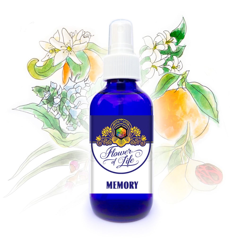 Memory Mist - Flower of Life Essential Blends
