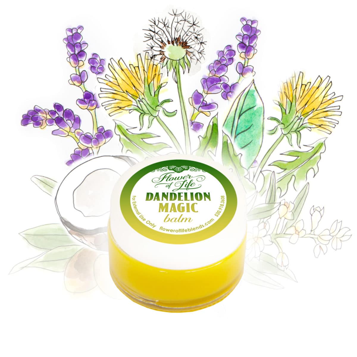 Dandelion Magic Balm - Flower of Life Essential Blends
