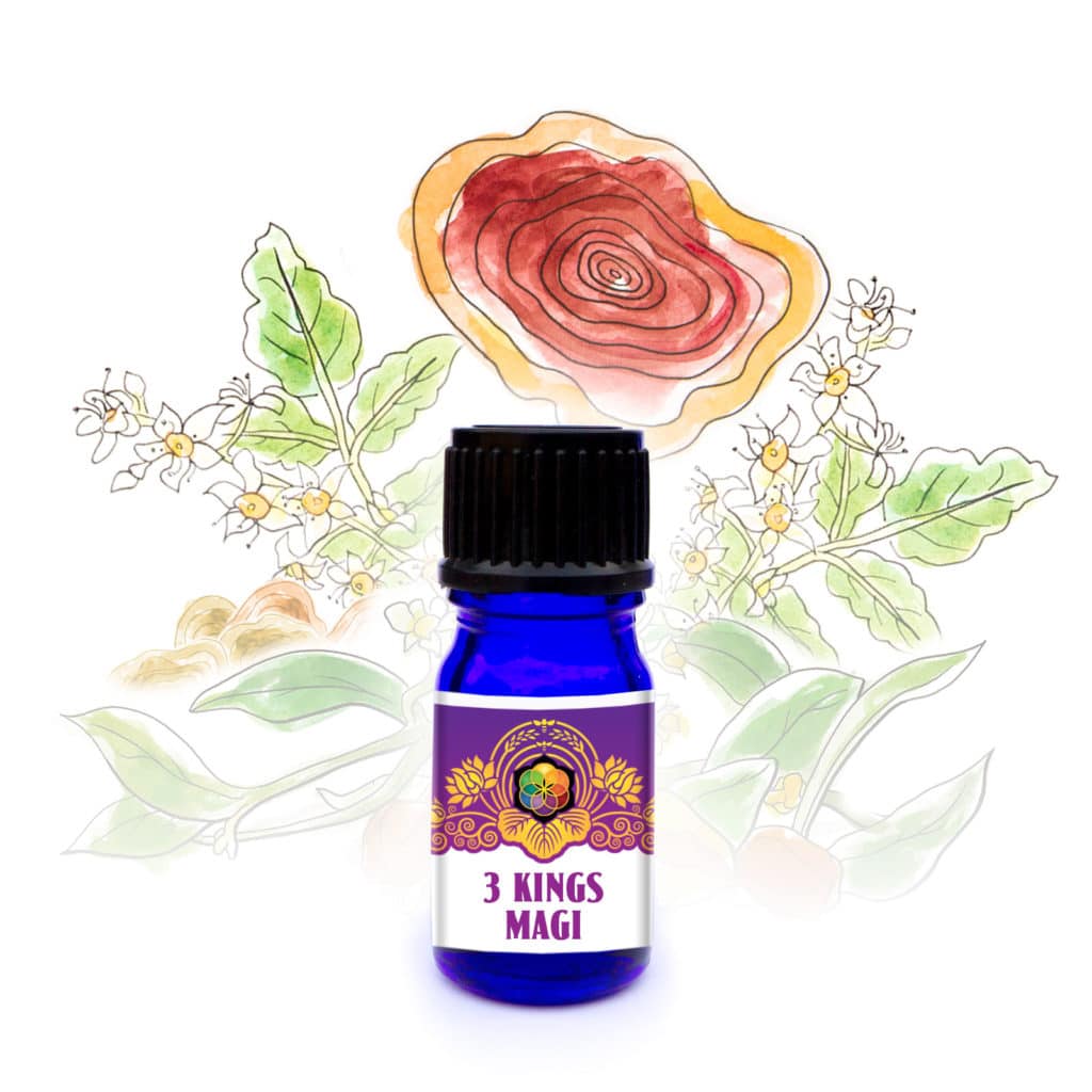 3 Kings Magi - Flower of Life Essential Blends